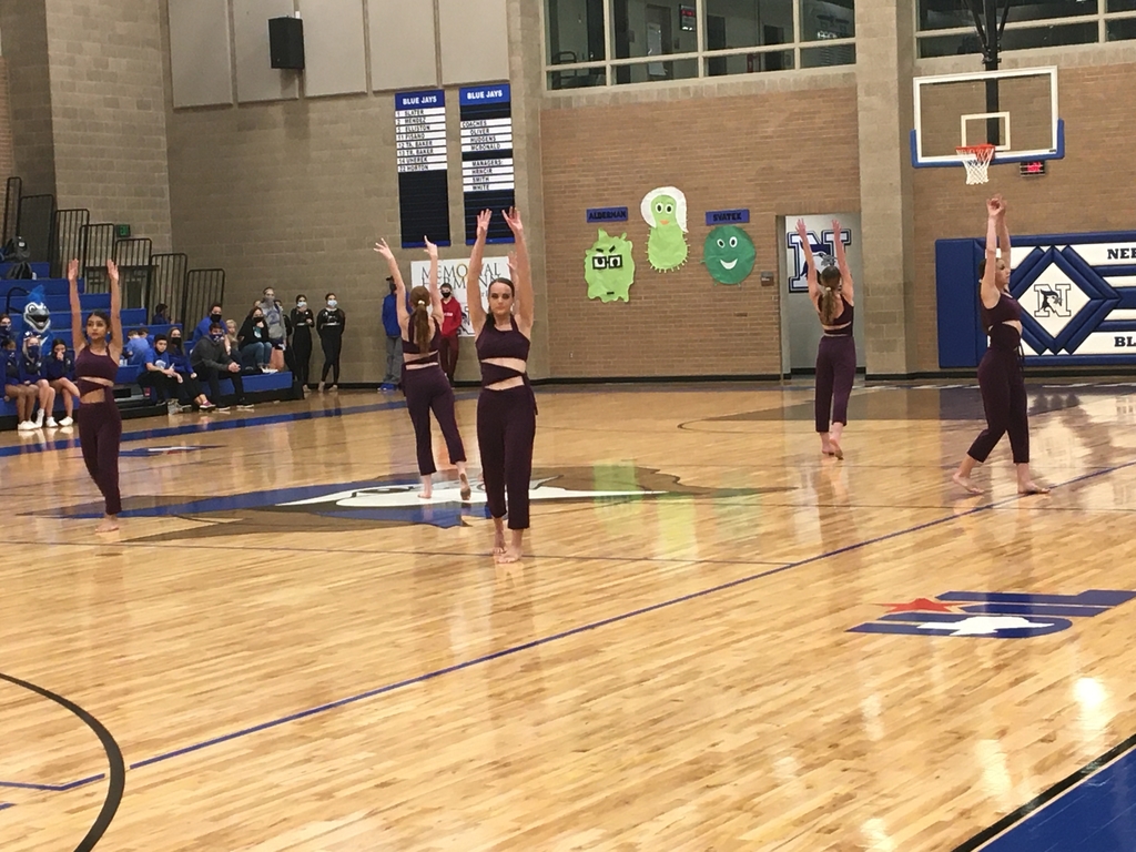 Live Feed | Needville High School